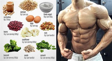 Alimentación Para Ganar Masa Muscular ⭐