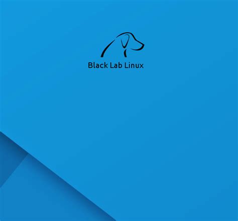 Black Lab Enterprise Linux 11 0 3 Ubuntu Based Operating System Now Available BetaNews