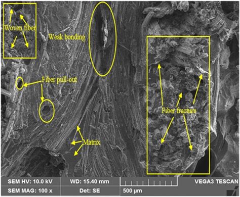 Sem Of 4 Treated Composite Specimen Download Scientific Diagram