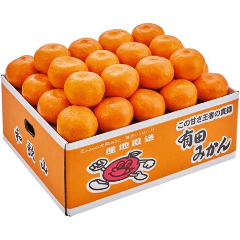 お歳暮 ギフト 2023 和歌山 有田みかん 約3kg Sサイズ みかん 蜜柑 和歌山 グルメ セット 詰合せ うさマート｜jre Mall