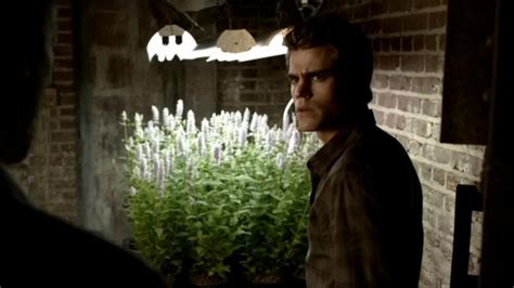 The Evolving Role Of Vervain Throughout ‘the Vampire Diaries