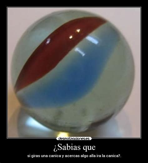 Imágenes y Carteles de CANICA Desmotivaciones