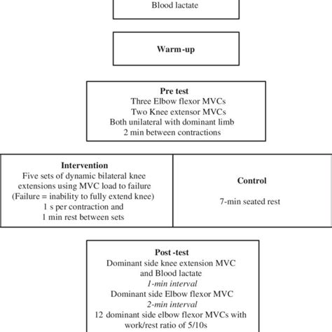 Schematic Diagram Of The Experimental Design Download Scientific Diagram