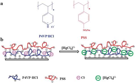 A Chemical Structures Of Polyelectrolyte Used In Lbl Selfassembly Download Scientific Diagram