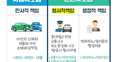 운전자 보험 전상은 숨고 숨은고수