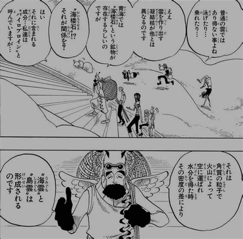 海王類・巨人族のルーツは空島で宝樹アダム・陽樹イブを伝って下りてきた説【ワンピース】 京大生のワンピース考察