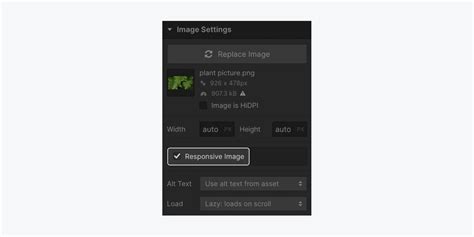 Responsive Images In Webflow Webflow University