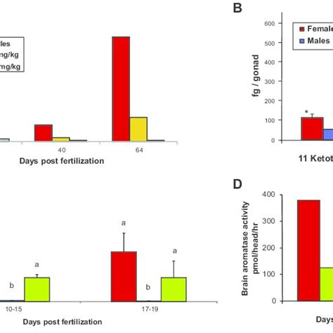Differences Found During The Sex Differentiation Of Tilapia Between