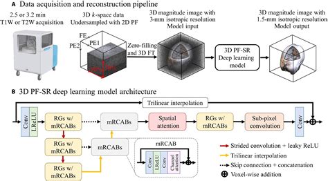 Deep Learning Revolutionizes Ultra Low Field Brain Mri For Quicker Clearer Scans