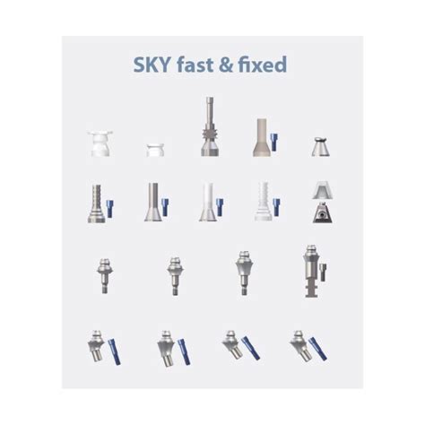 SKY Fast Fixed And Screw Retained Bridge Abutment SKYMED