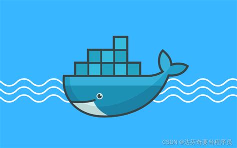 docker启动后怎样运行jar包文件 docker run时 启动jar命令没起作用 只能进容器到某些目录手动java jar才能成功