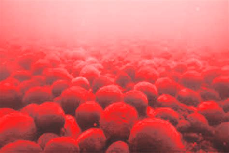 Moss Ball War Entitys And Lore Wiki Fandom