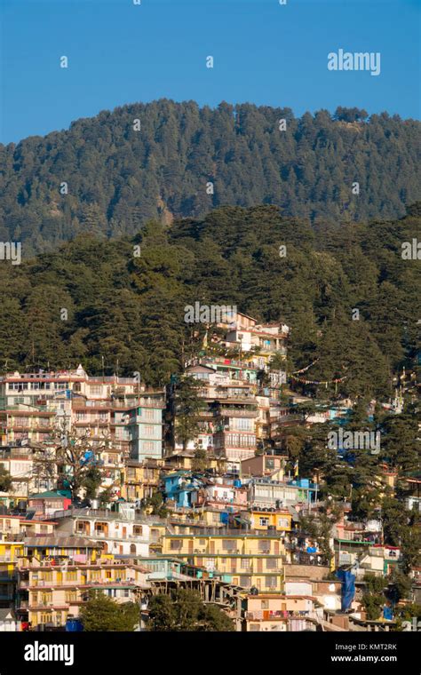Terraced Buildings Of Mcleod Ganj Built On A Steep Mountainside In