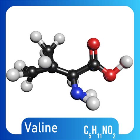 Valine 3d Model C5h11no2 3d Model Cgtrader
