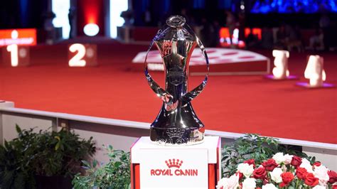 Special Relationship Between American Kennel Club And Royal Canin Akc Tv