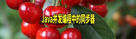 Java并发编程中的同步器 哔哩哔哩