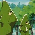 Metapod Meme Meme Generator Imgflip Metapod Meme Meme Generator Imgflip