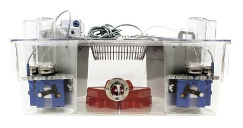 Intellicage Mousecell