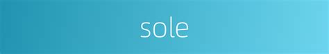 Sole的近义词sole的反义词sole的同义词 相似词查询
