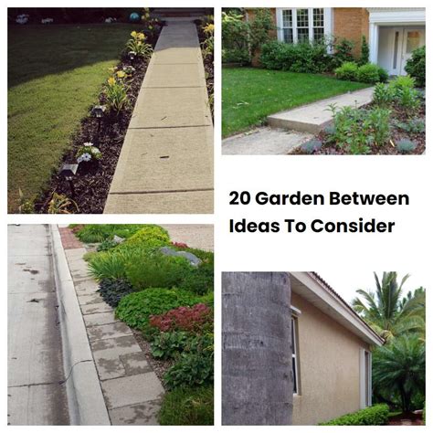 20 Garden Between Ideas To Consider SharonSable