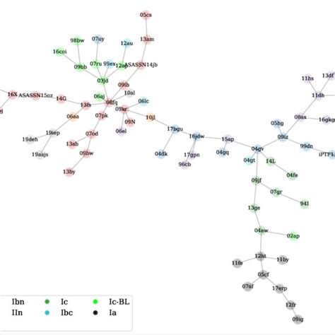 Minimum Spanning Tree Of The Graph Of Sne Defined By The Dissimilarity Download Scientific