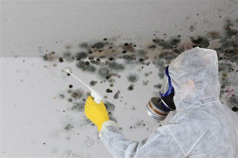 Learn The Warning Signs Of Mold Toxicity