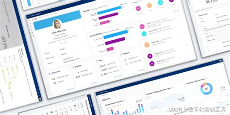 微软如何打造数字零售力航母系列科普09 什么是dynamics 365 Customer Insight 以及如何使用它