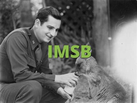 Imsb Meaning