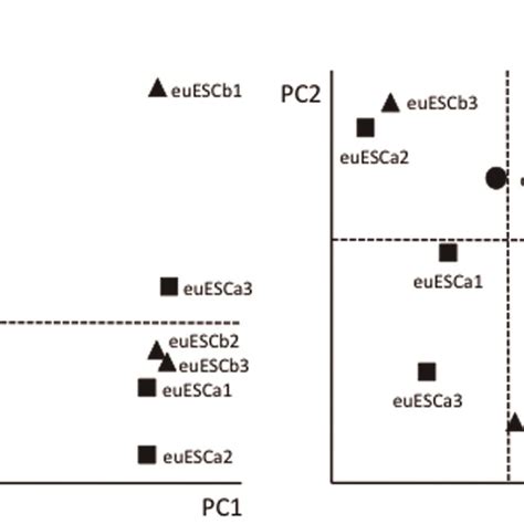 the results of the hierarchical clustering analysis of genome wide dna