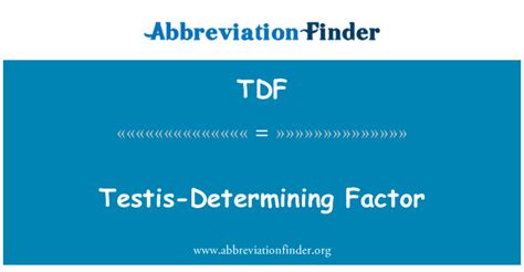 Tdf Stands For Testis Determining Factor Abbreviation Finder