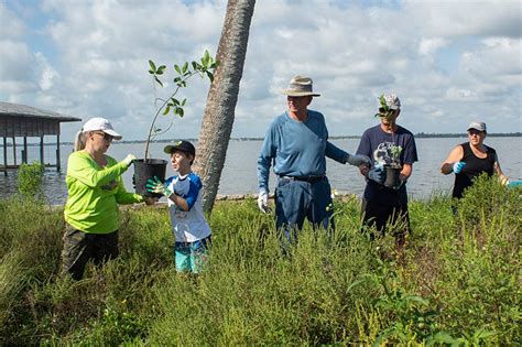 Buffer Zones Restore Our Shores