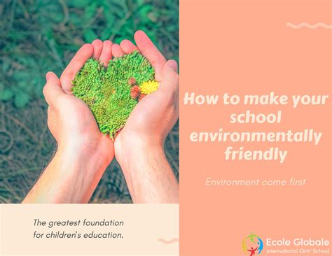 How To Make Your School Environment Friendly Ecole Globale