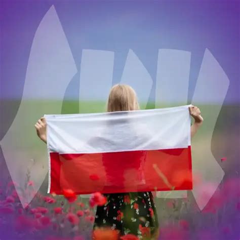 Kurs Maturalny Języka Polskiego w Toruniu Szkoły Kursy Kariera