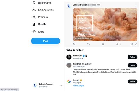 Social Share Previews On X Twitter Zelolab