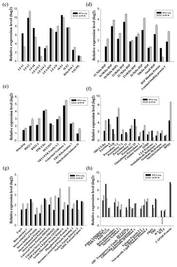 International Journal Of Molecular Sciences An Open Access Journal