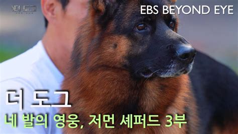 더 도그 ㅣ 네 발의 영웅 저먼 셰퍼드 3부 Youtube