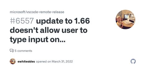 update to 1 66 doesn t allow user to type input on devcontainer