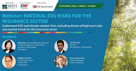 Material Esg Risks For The Insurance Sector Msfi