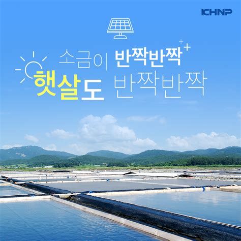 한국수력원자력 햇빛은 쨍쨍~ 소금알은 반짝~ 한수원은 신안군 비금도 염전부지에 태양광발전 사업을