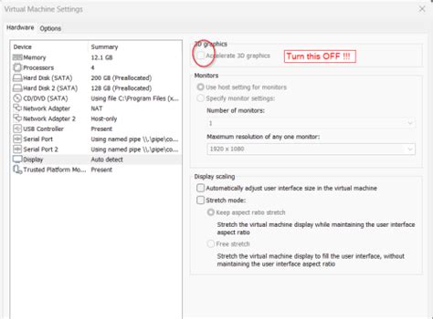 Windows 11 Vmware Workstation Very Slow Vcl Redraw Delphi Ide And