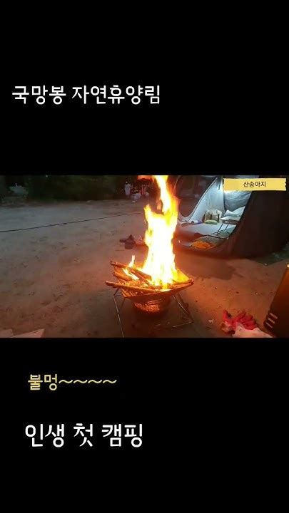 인생 첫 캠핑 국망봉 다이소 방수포 그늘막 개고생 폭풍 쇼핑 Youtube
