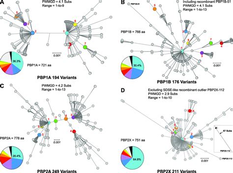 Genetic Relationships Among Hmm Pbp Variants Genetic Relationships Download Scientific Diagram