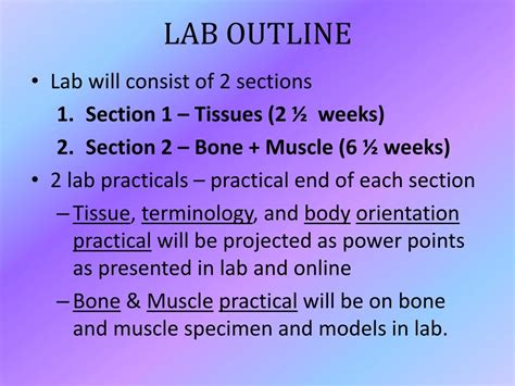 PPT LAB OUTLINE PowerPoint Presentation Free Download ID