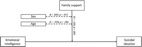Moderation Analysis With Family Support Sex And Age As Moderators Download Scientific Diagram