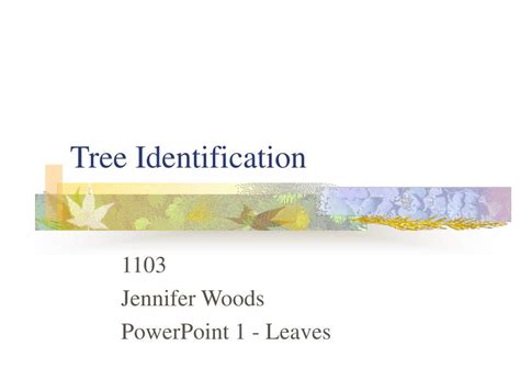 PPT Tree Identification PowerPoint Presentation Free Download ID