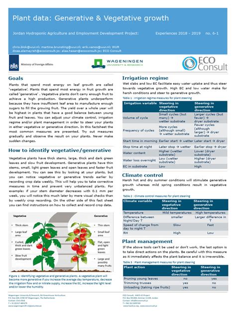 6 Plant Data Collection Interpretation 0 Pdf Plants Leaf