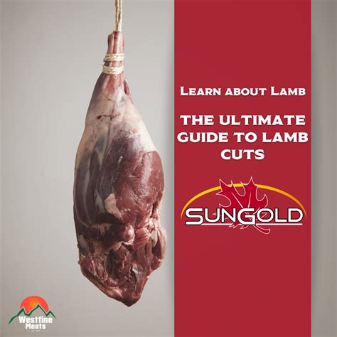 The Ultimate Guide To Lamb Cuts Best Cooking Tips And Cuts Explained