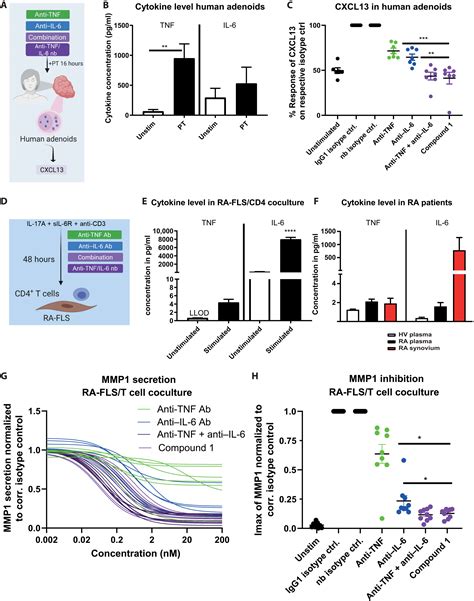 Additive Efficacy Of A Bispecific AntiTNF IL 6 Nanobody Compound In