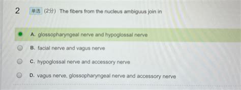 Solved 2 单选 2分 ﻿the Fibers From The Nucleus Ambiguus Join