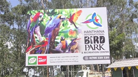 President To Open Hanthana Bird Park Today Frontpage